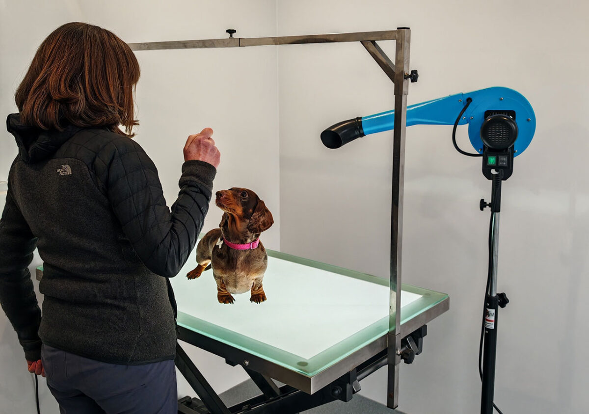 Pet Grooming Pod | Smartpod